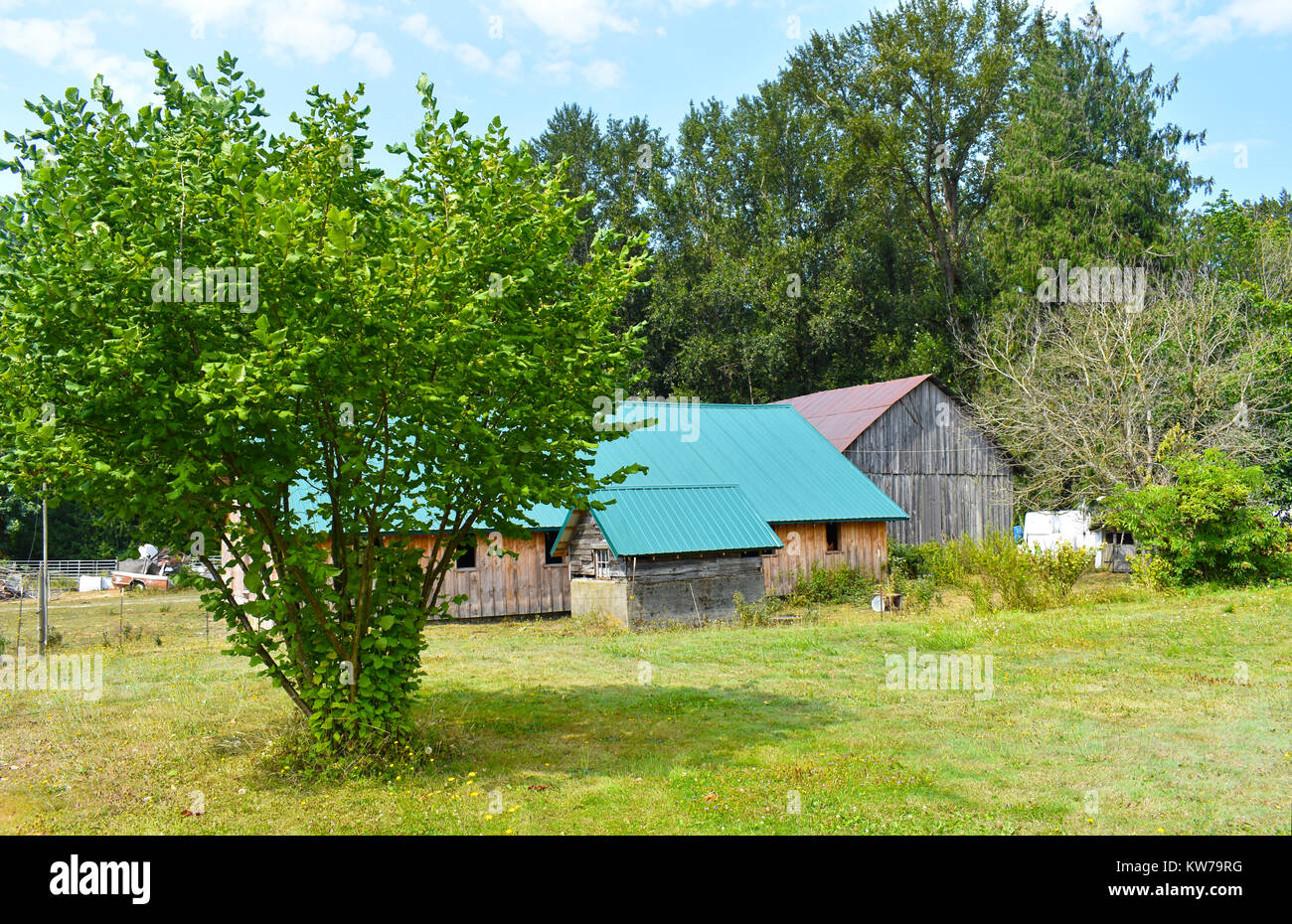 1800s farming usa hi-res stock photography and images - Alamy