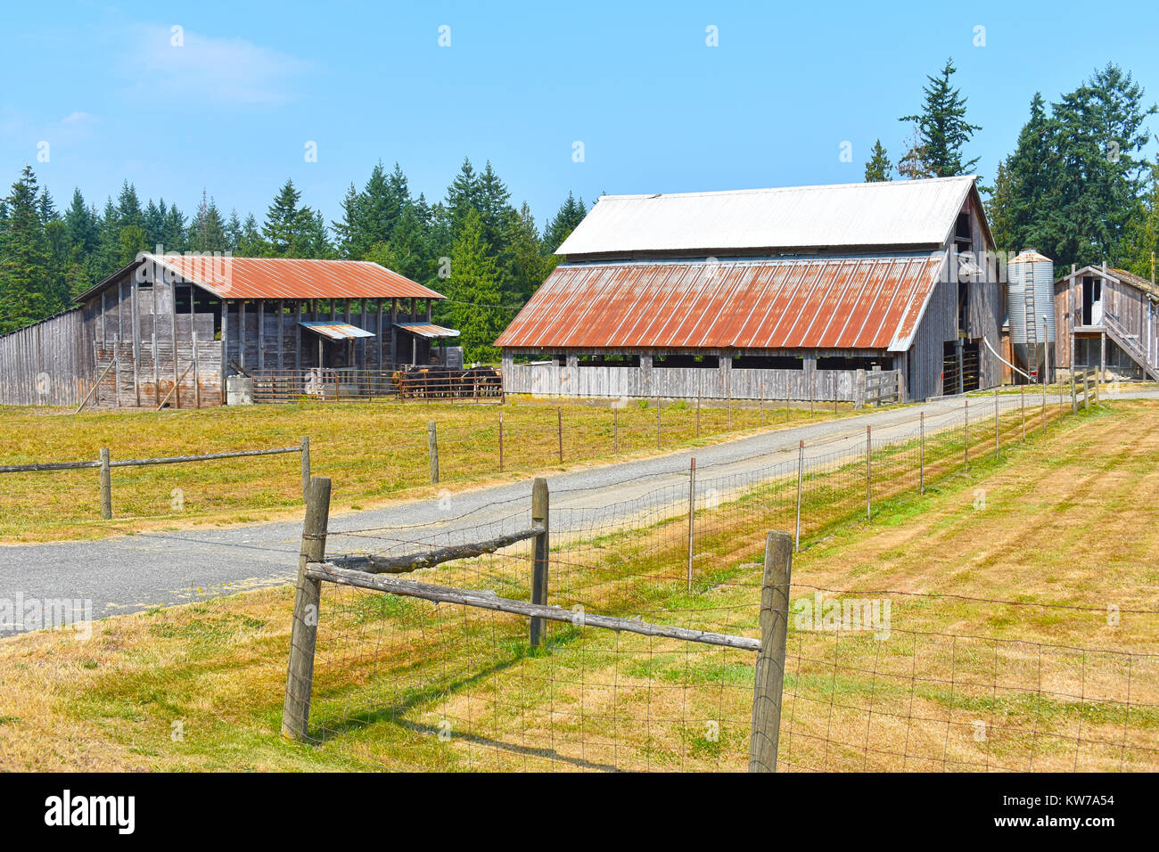 A beautiful cattle ranch in the pacific northweset city of Bellingham ...