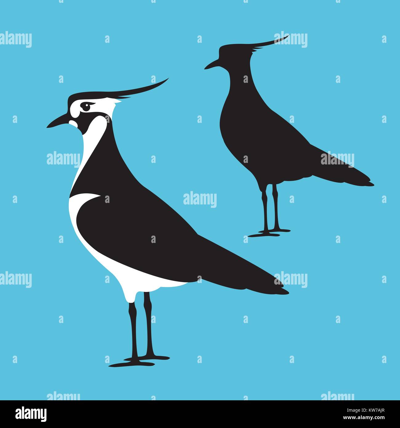 Squirrel cartoon Stock Vector Images - Alamy