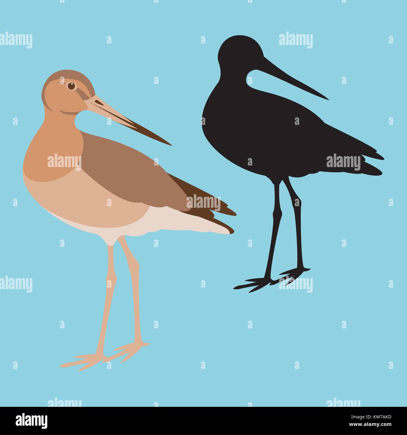 sandpiper vector illustration flat style profile side silhouette black ...
