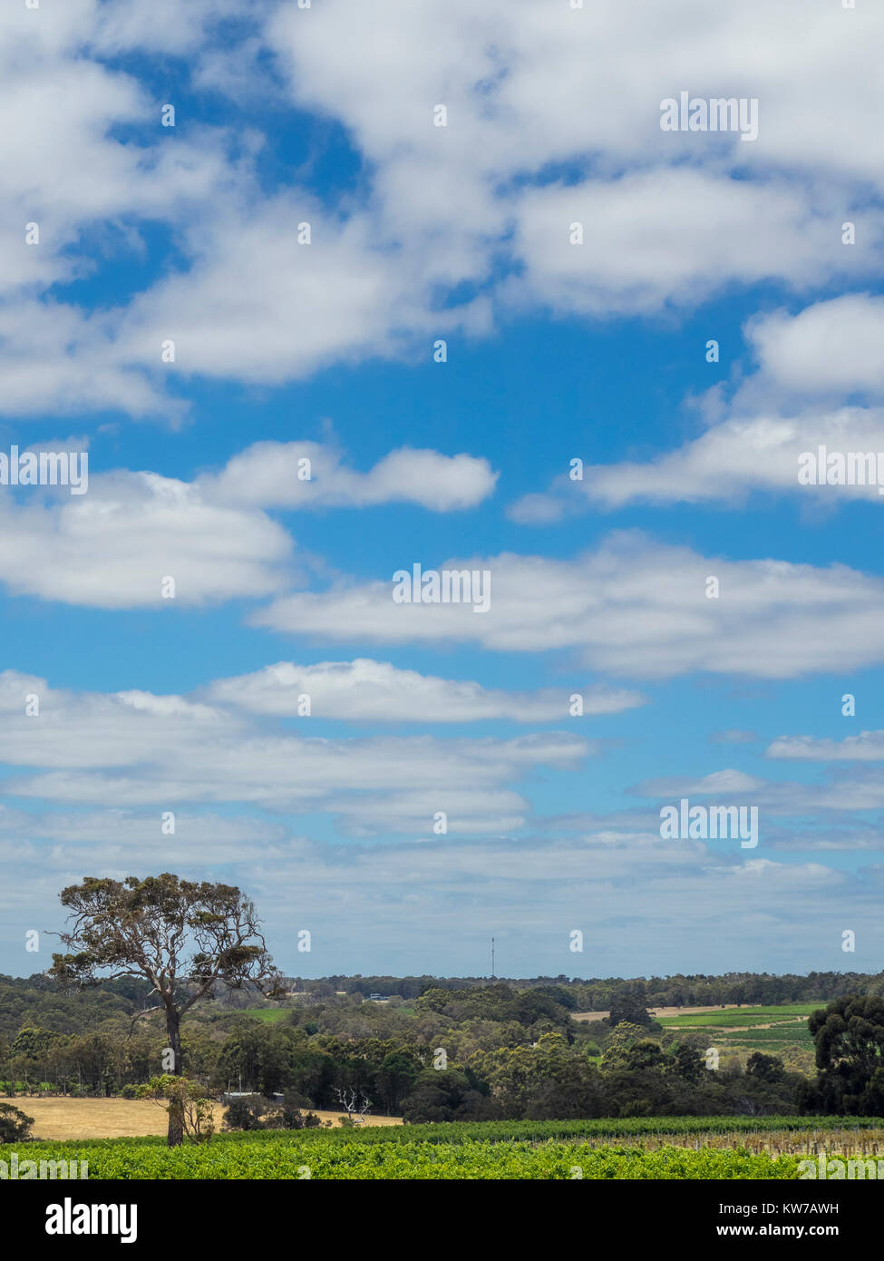 Cumulus humilis hi-res stock photography and images - Alamy