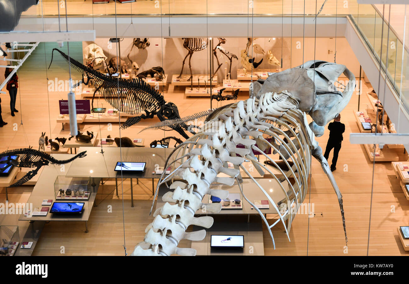 Muse - Science Museum - Trento in northern Italy - interior spaces of ...