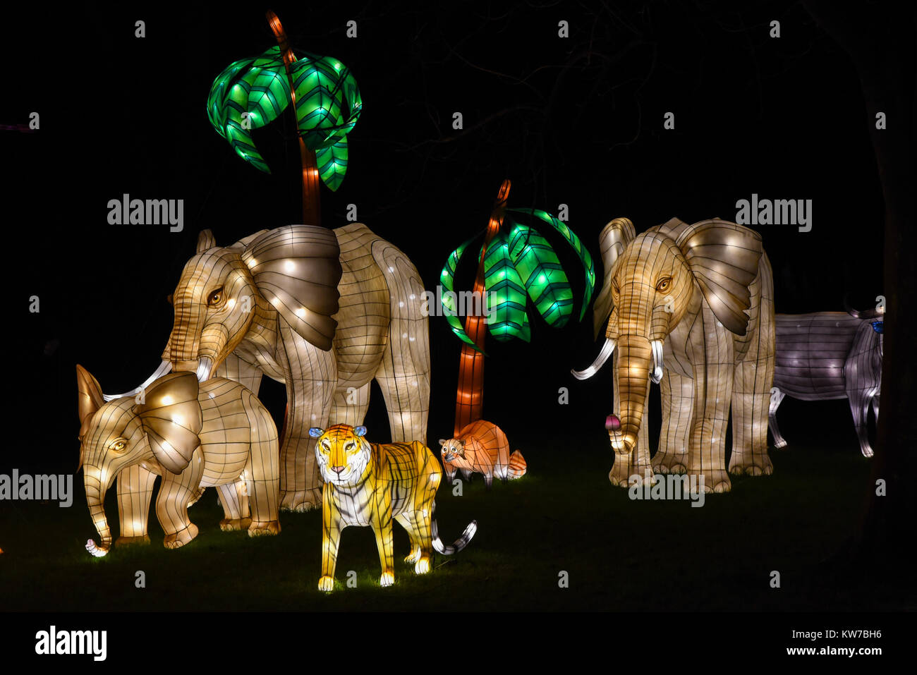 Chinese lantern tree hi-res stock photography and images - Alamy