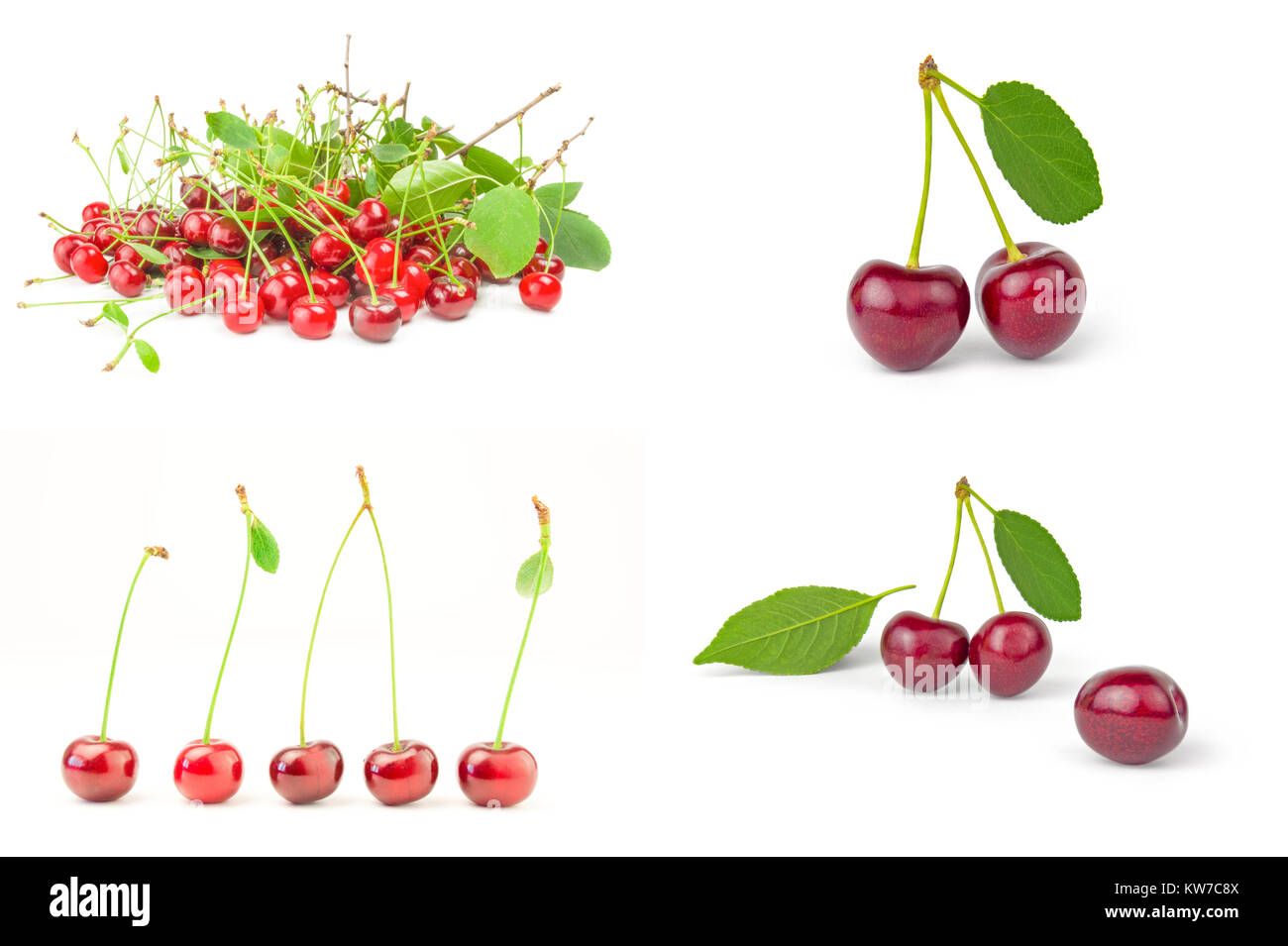 Collage of Cherry on a isolated white background Stock Photo - Alamy