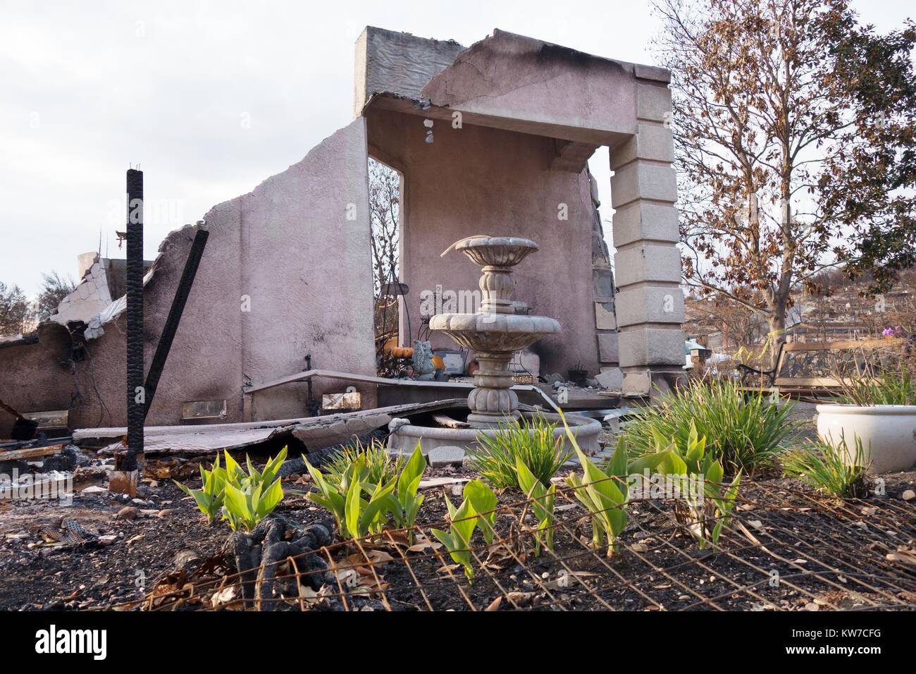 Damage from the Tubbs wildfire in Santa Rosa, California, USA Stock ...