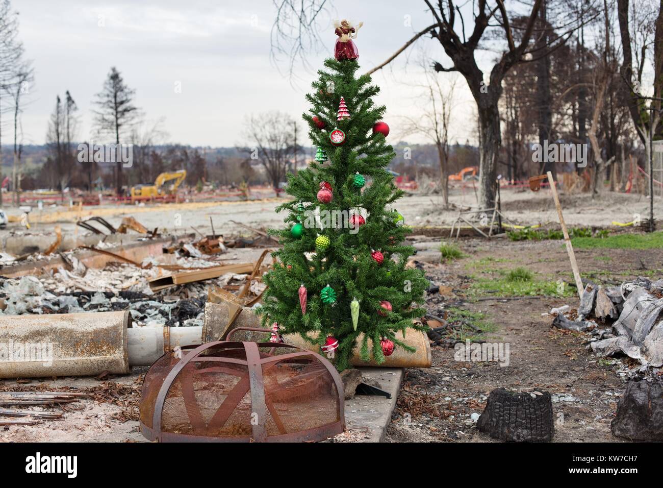 A decorated Christmas tree, among the damage from the Tubbs wildfire in ...