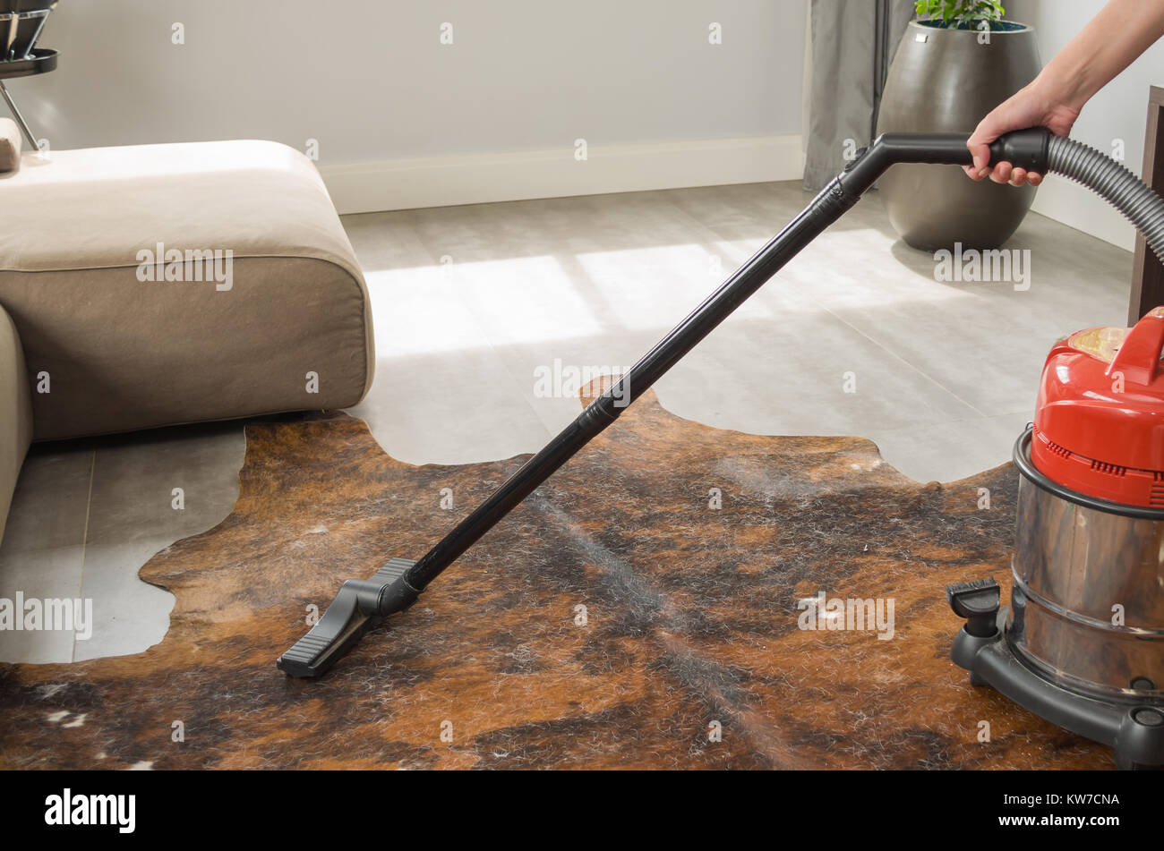 Dog sweeping floor hi-res stock photography and images - Alamy