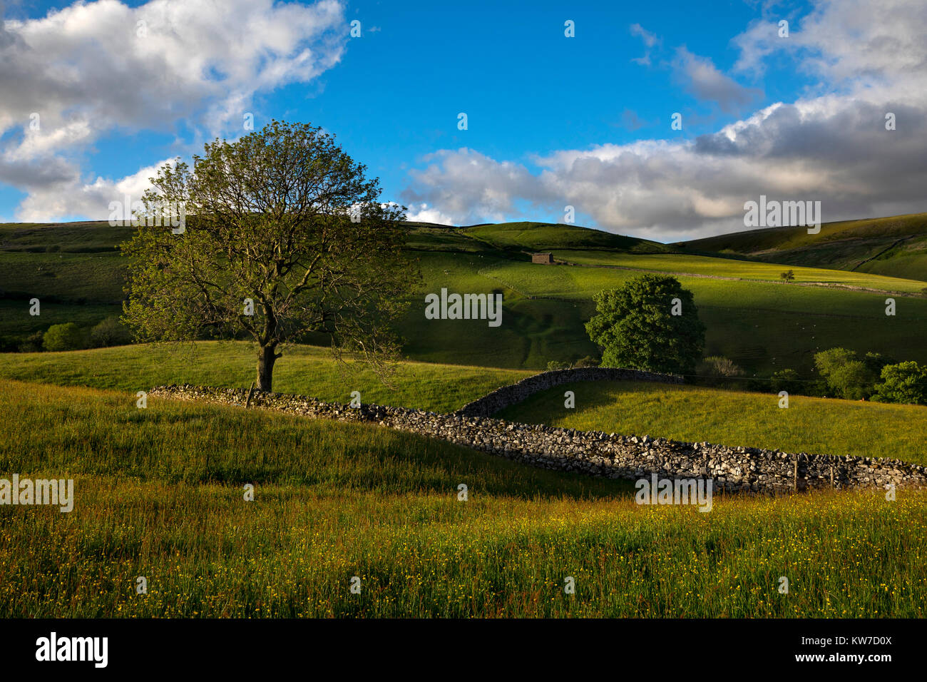 Keld; Swaledale; Yorkshire; UK Stock Photo - Alamy