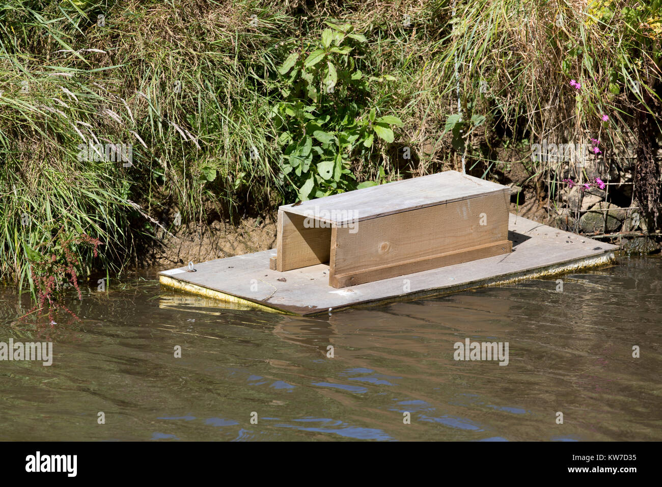 Mink Raft; Cornwall; UK Stock Photo - Alamy