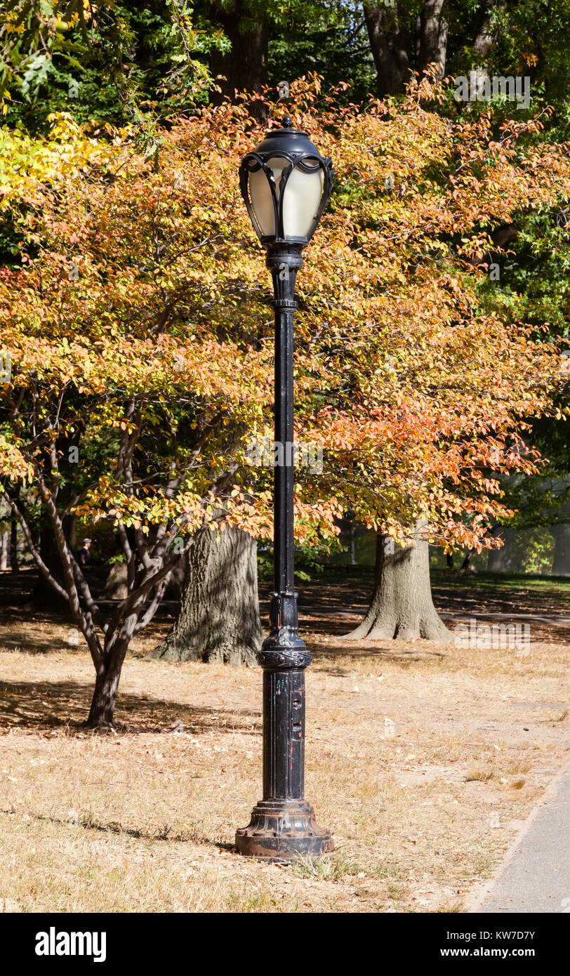 A lamp post in Central Park, New York is pictured against autumn ...