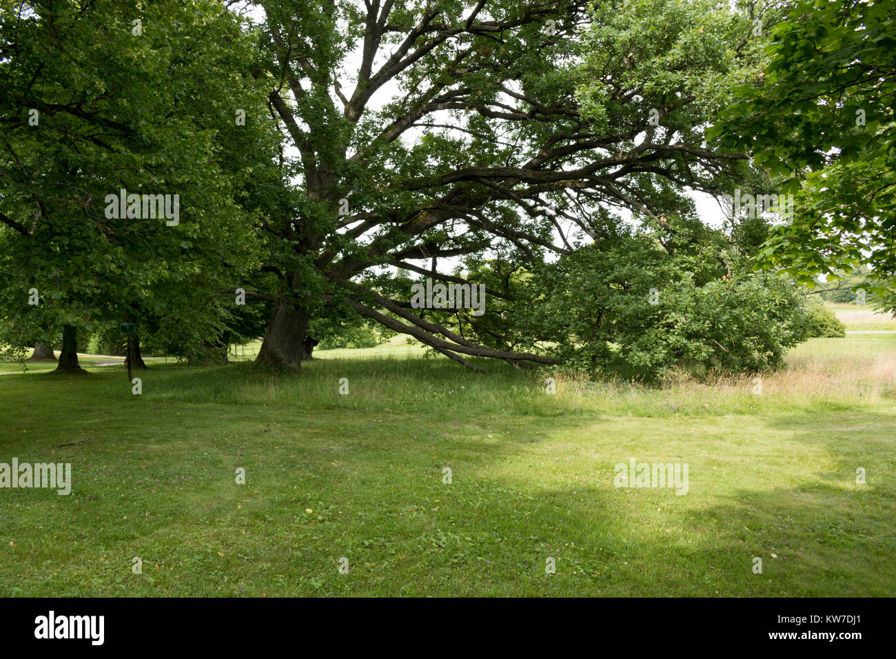 Beautiful greenspace in Helsinki, capital of Finland Stock Photo - Alamy