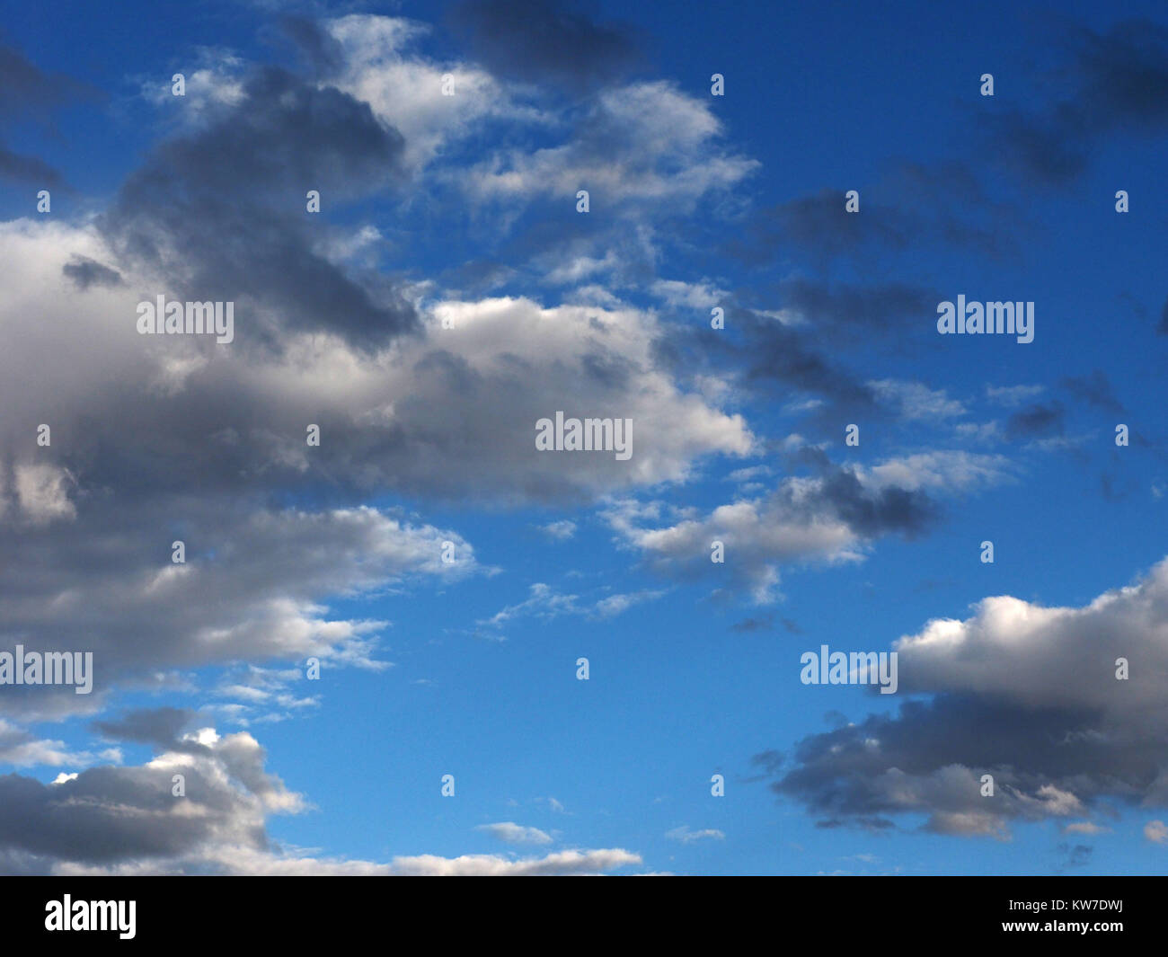 Rows of bright white clouds with gray spots on a blue sky background ...