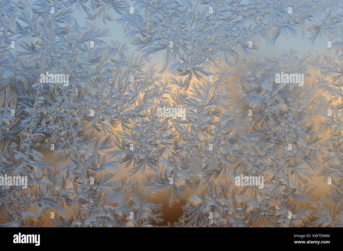 Crystals of ice on a misted winter window glass Stock Photo - Alamy