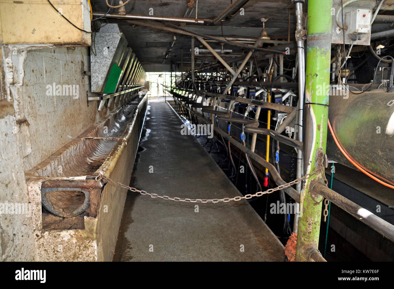 Milking Shed Stock Photos & Milking Shed Stock Images - Alamy