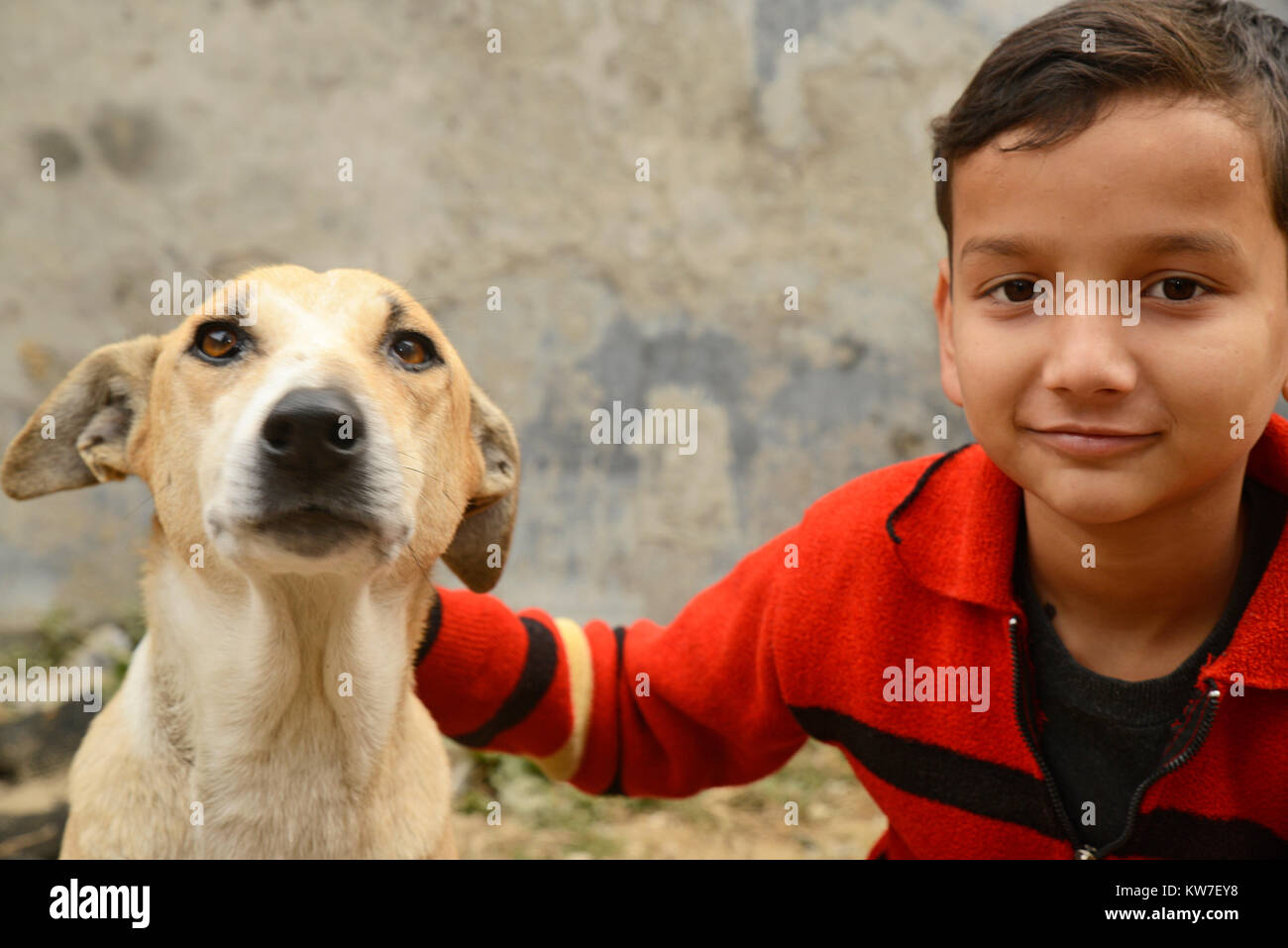 Cute boy playing with his dog Stock Photo - Alamy