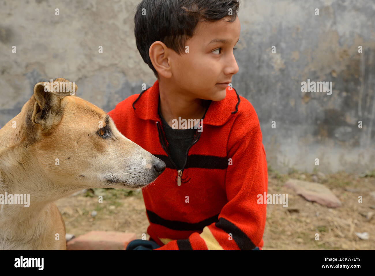 Cute boy playing with his dog Stock Photo - Alamy