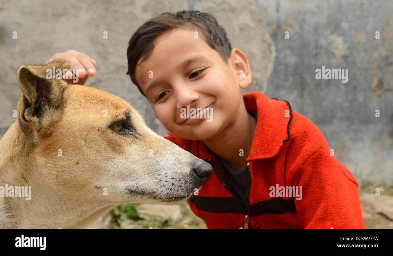 Cute boy playing with his dog Stock Photo - Alamy