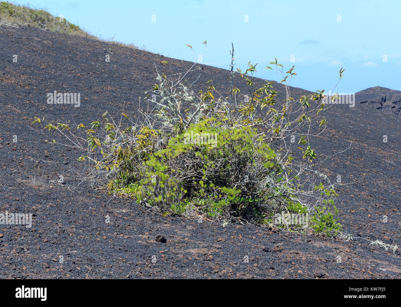 Volcan Chico Stock Photos & Volcan Chico Stock Images - Alamy