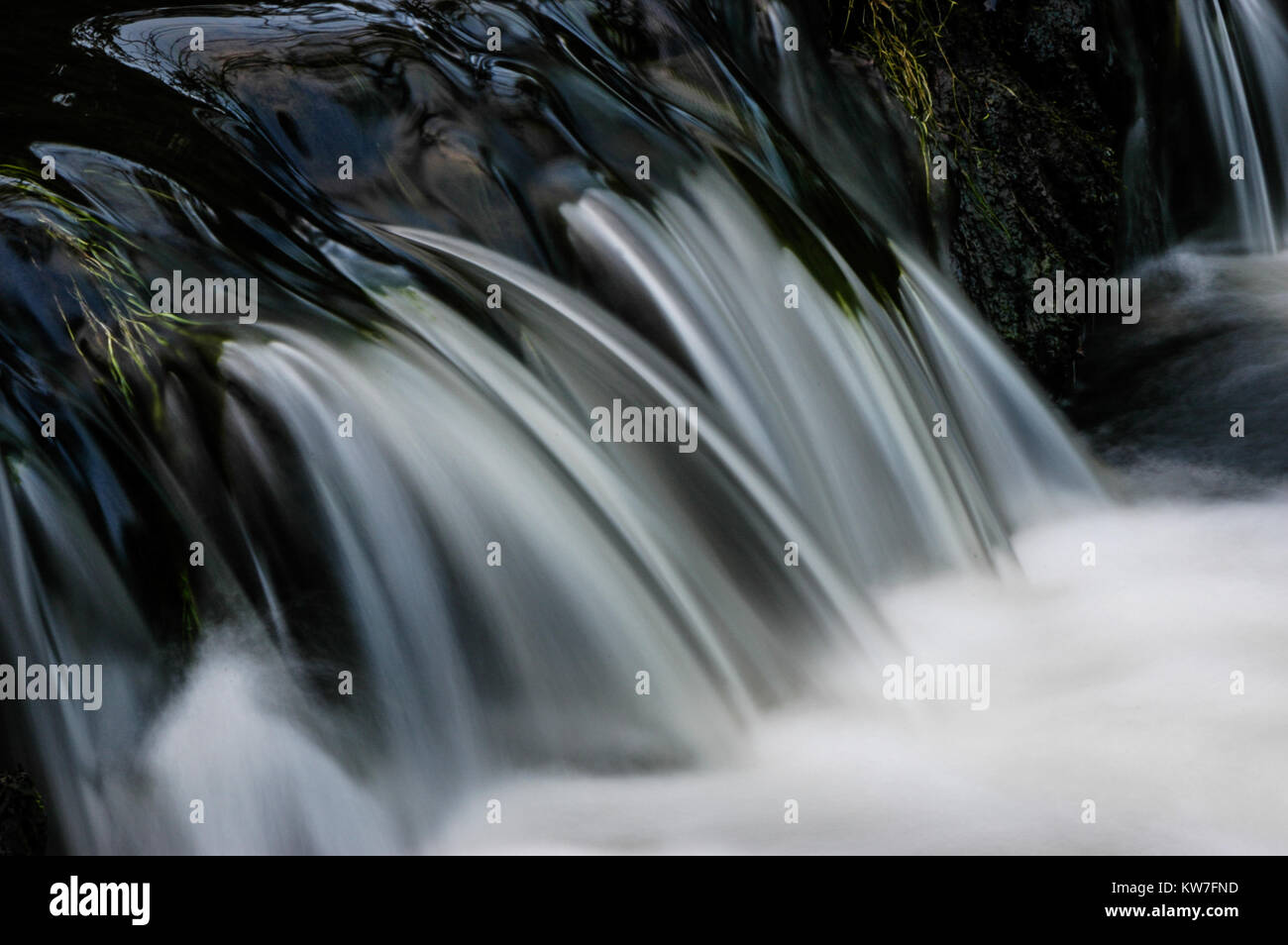 The River Dove flowing over a small weir in the secluded woodland ...