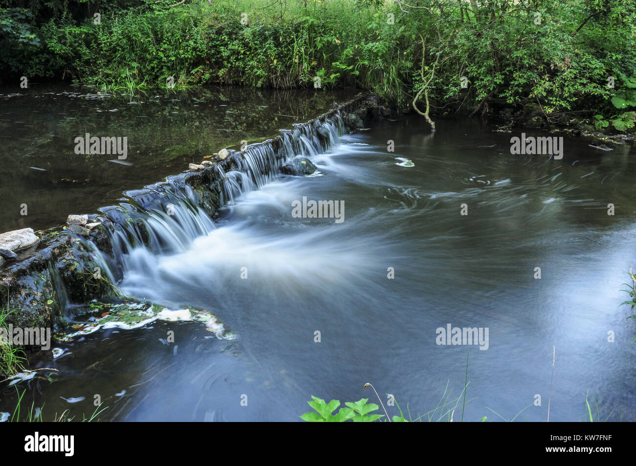 Dove crest hi-res stock photography and images - Alamy