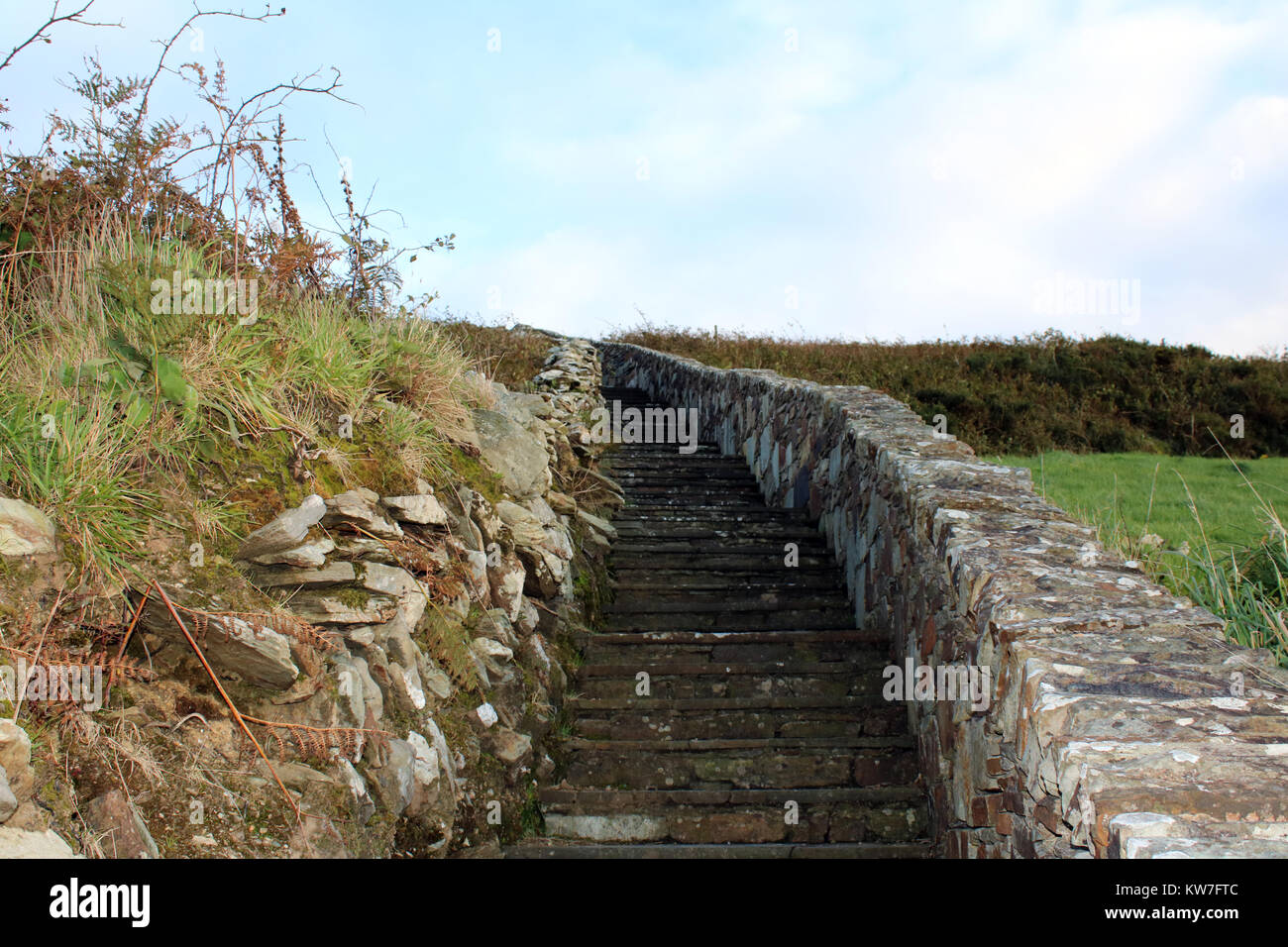 Old stone steps on an Irish country hill Stock Photo - Alamy