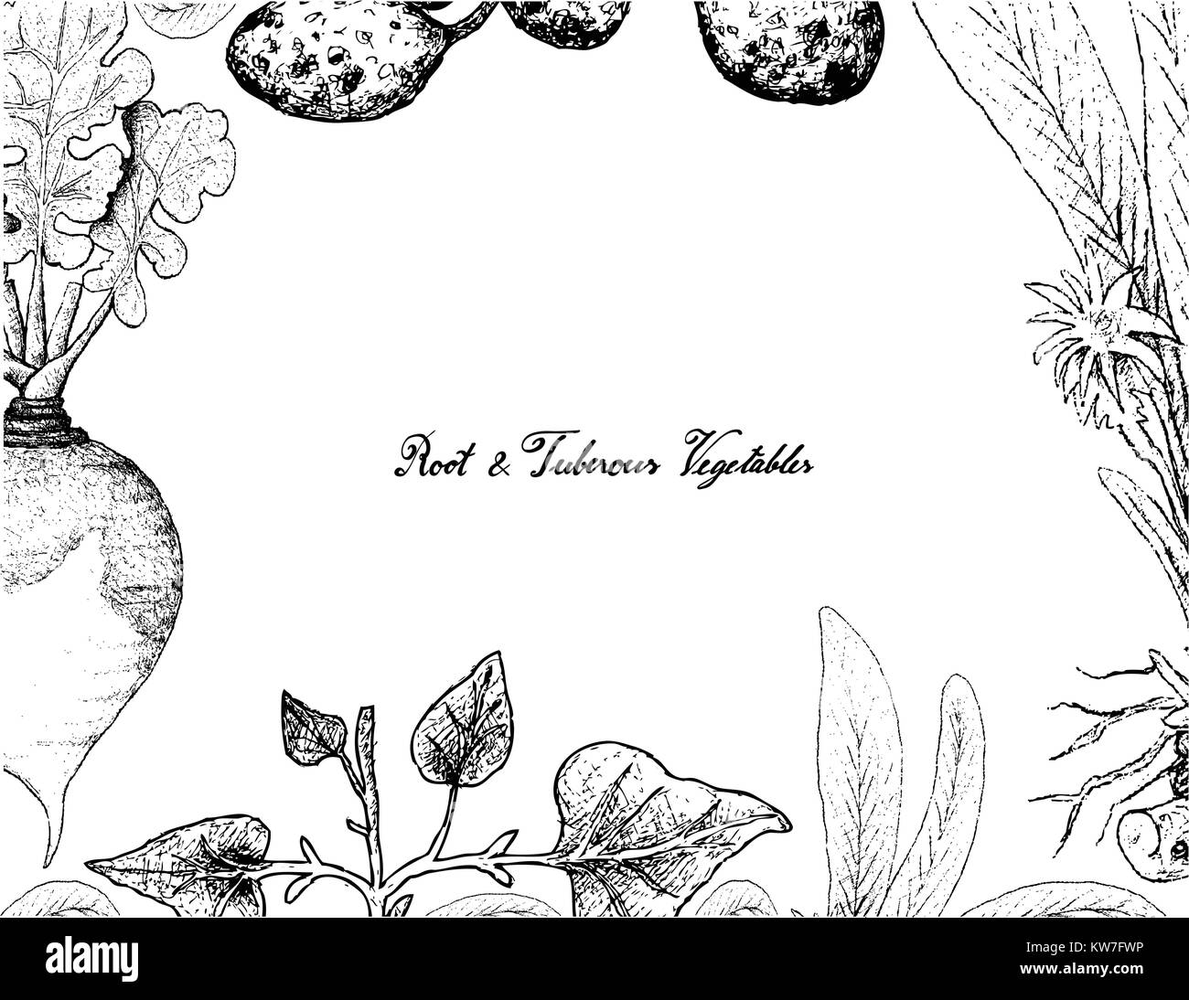 Root and Tuberous Vegetables, Illustration Frame of Hand Drawn Sketch ...