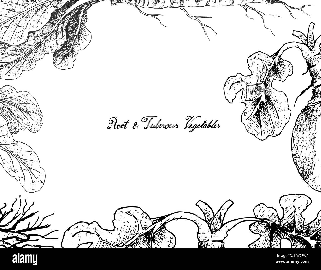 Root and Tuberous Vegetables, Illustration Frame of Hand Drawn Sketch ...