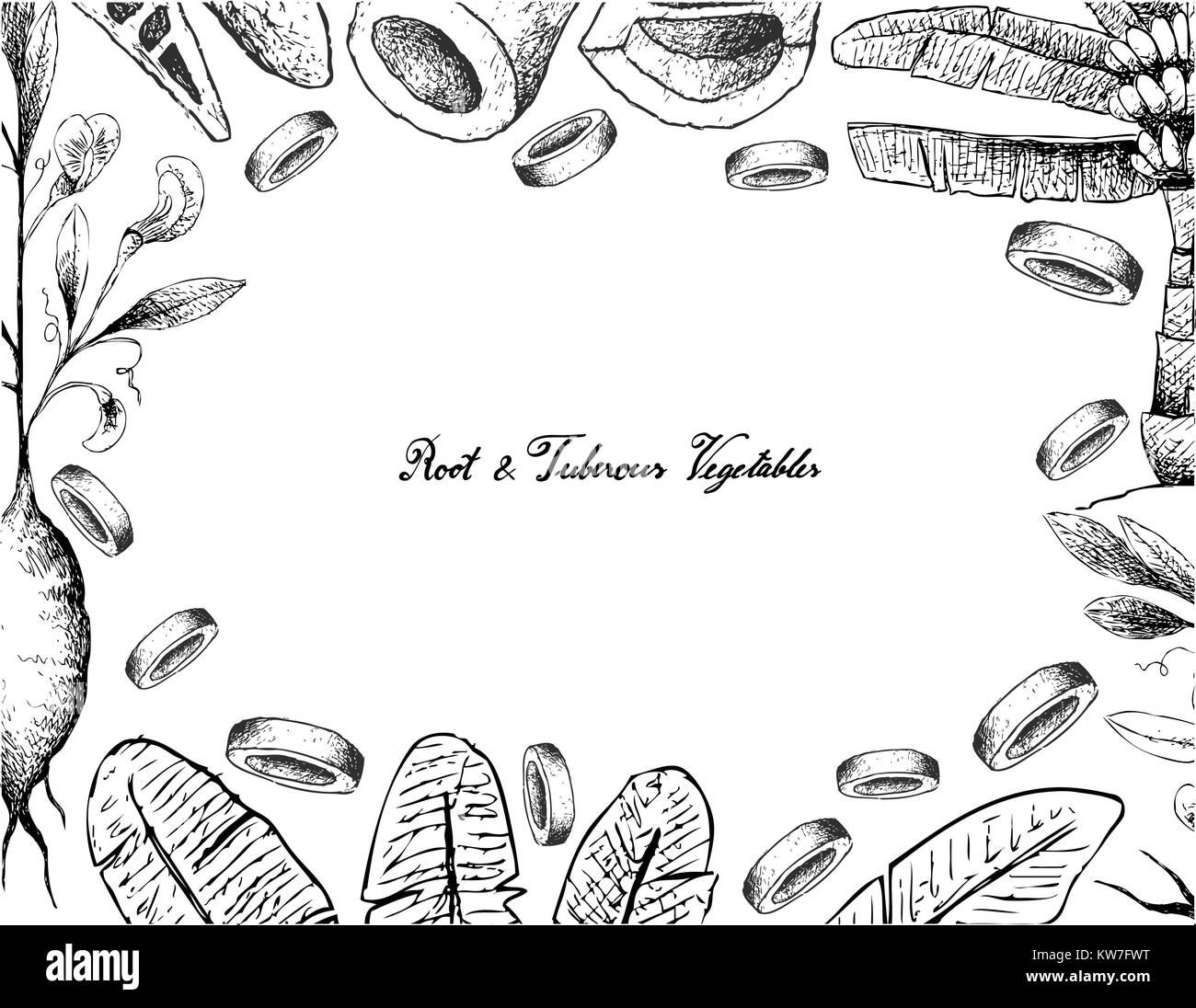 Root and Tuberous Vegetables, Illustration Frame of of Delicious Fresh ...