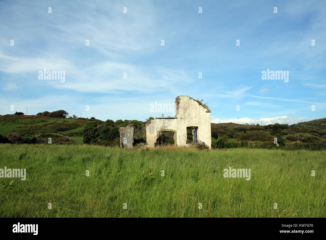 Old stone building in the tall grass and field, Ireland Stock Photo - Alamy