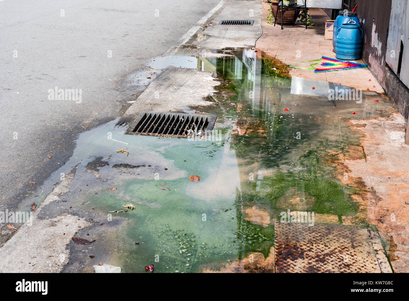Algae had grown from the soaked ground Stock Photo - Alamy