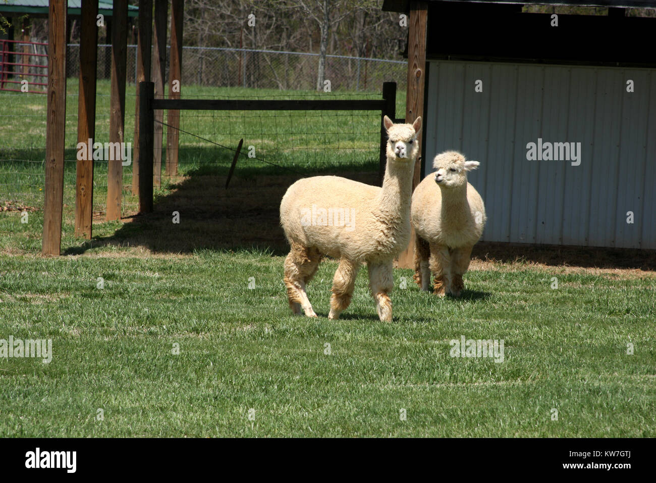 Virginia zoological park hi-res stock photography and images - Alamy