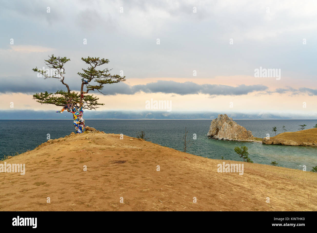 Ritual tree with colorful ribbons Hadak in the overcast. Lake Baikal ...