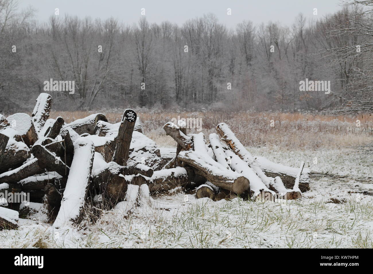 Pure michigan snow hi-res stock photography and images - Alamy