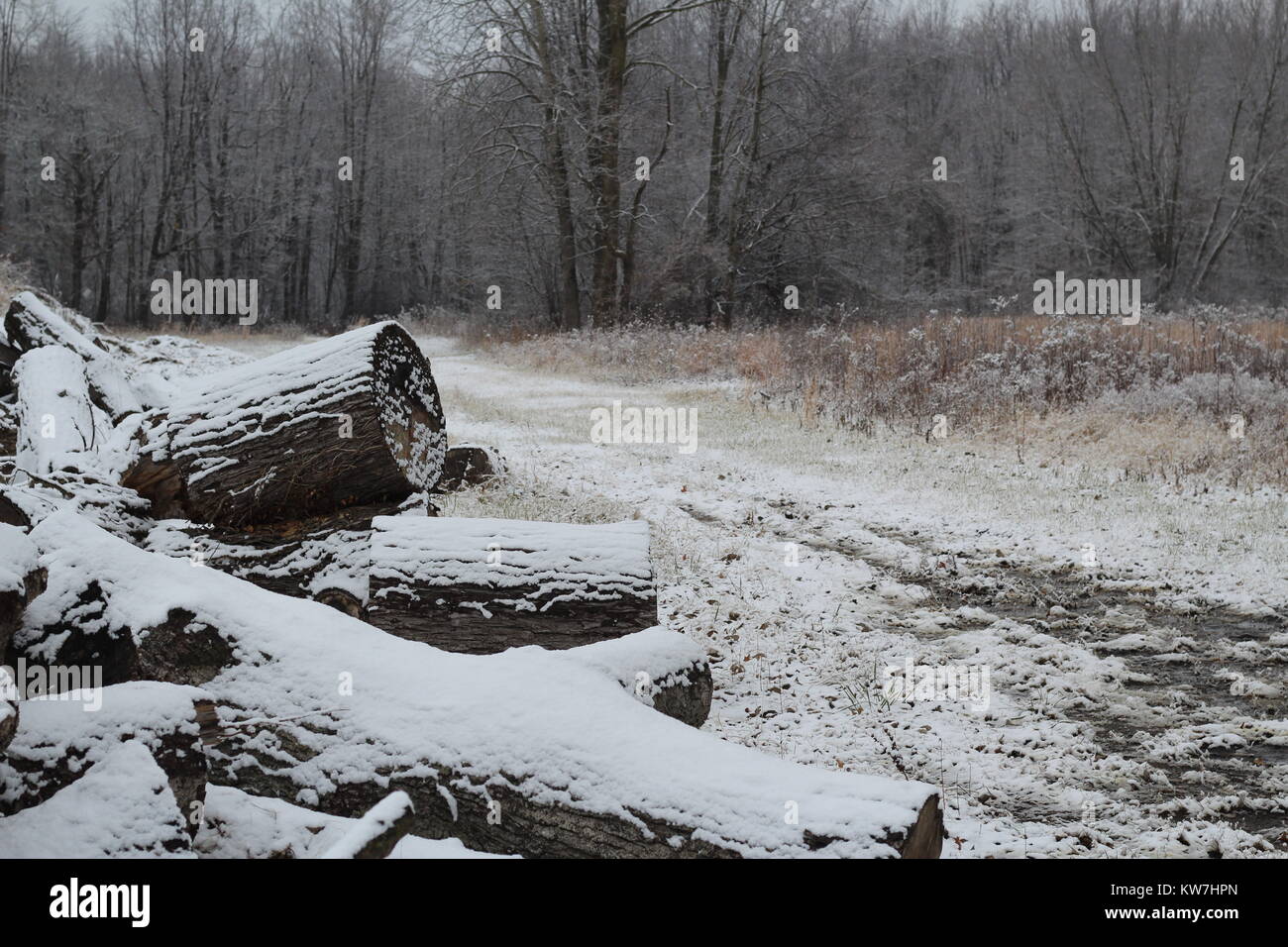 Pure michigan snow hi-res stock photography and images - Alamy