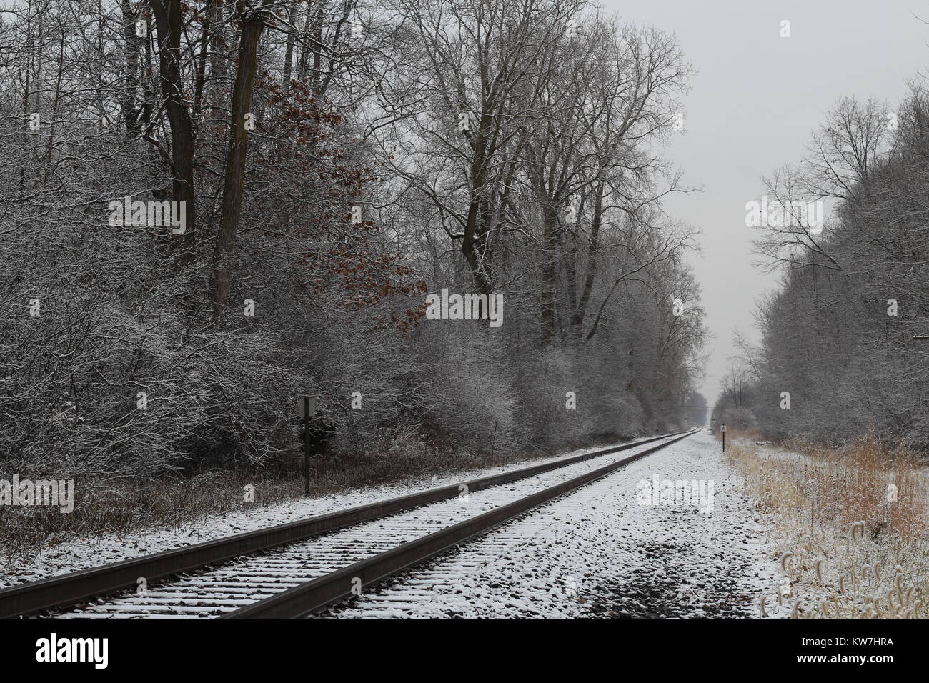 Railroad in a Michigan winter Stock Photo - Alamy