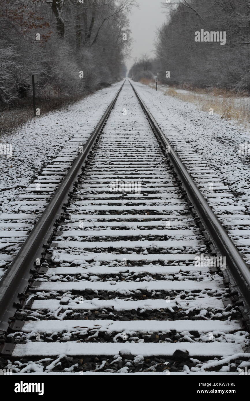Railroad in a Michigan winter Stock Photo - Alamy