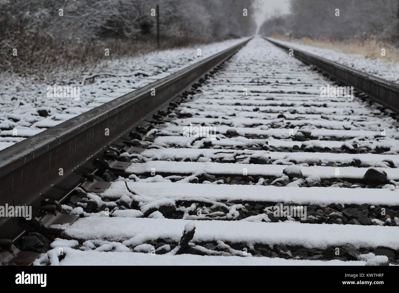 Railroad in a Michigan winter Stock Photo - Alamy