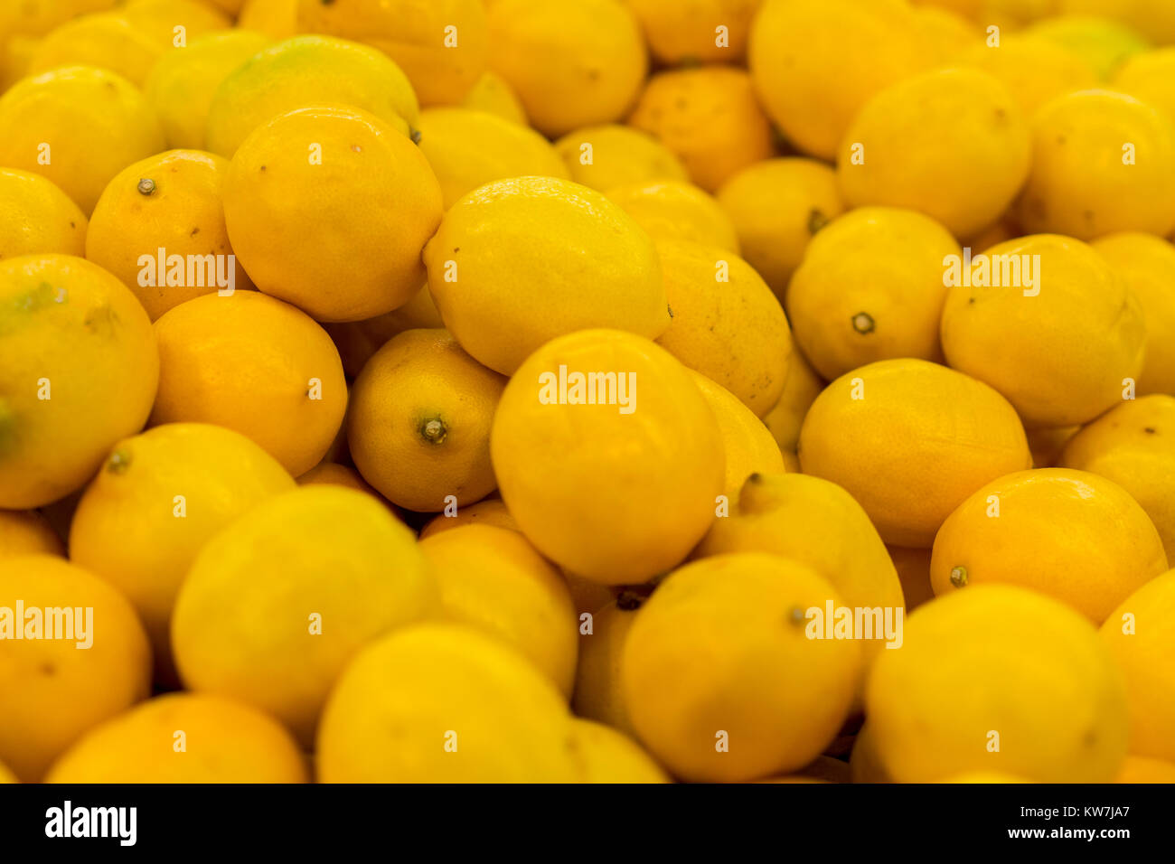 Supermarket lemon tree hi-res stock photography and images - Alamy