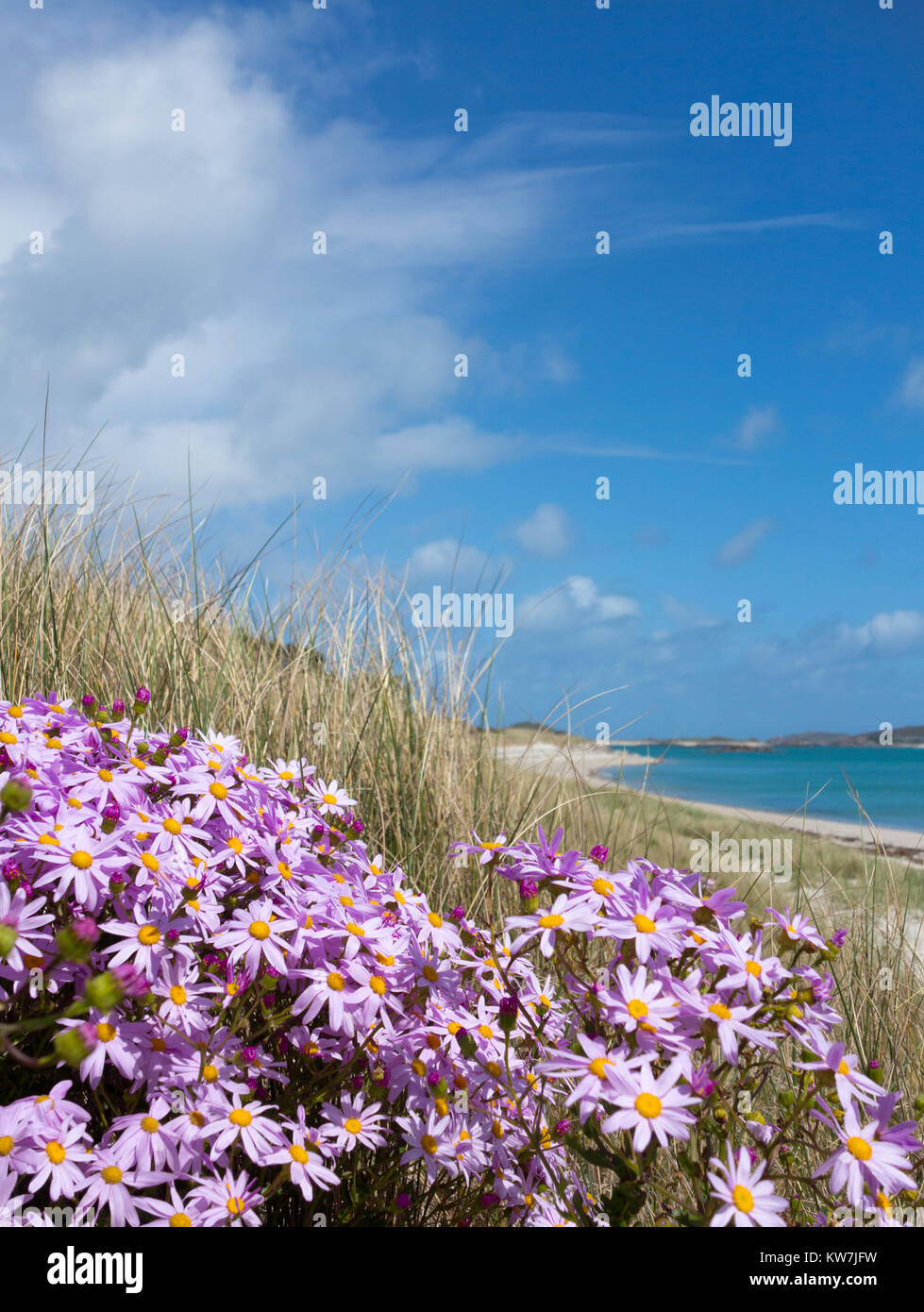 Pathway on beach hi-res stock photography and images - Alamy