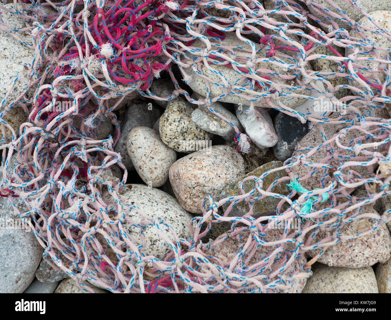Stones on a beach covered by netting Stock Photo - Alamy