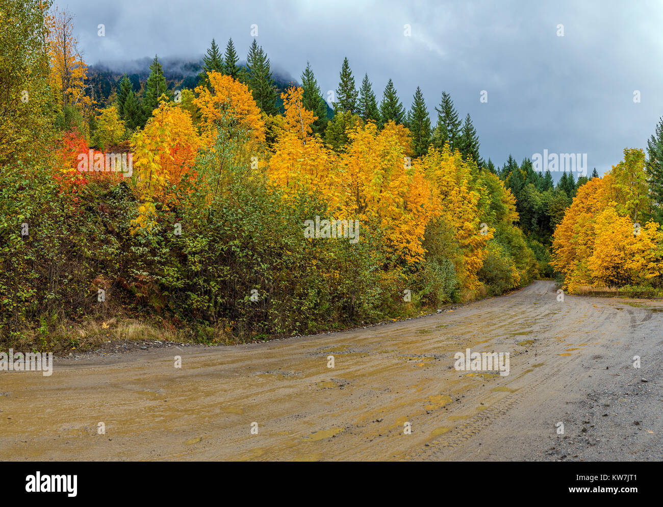 Colorful Fall Landscape in Sasquatch Provincial Park, Kent, British ...