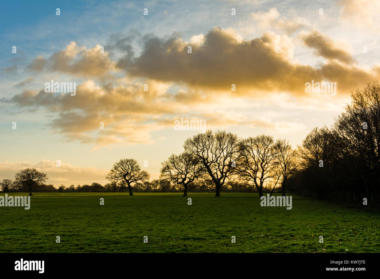 Green field painting hi-res stock photography and images - Alamy