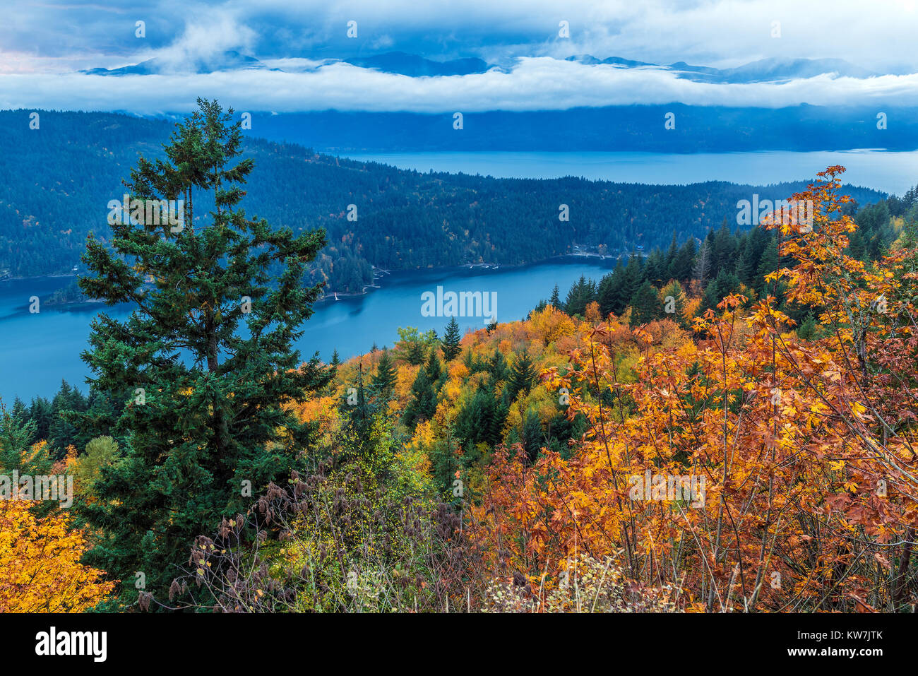 Colorful Fall Landscape in Sasquatch Provincial Park, Kent, British ...