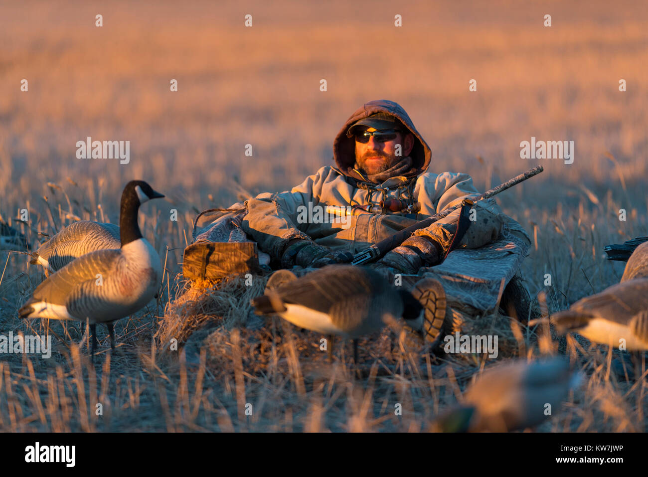 A goose hunter in North Dakota Stock Photo - Alamy