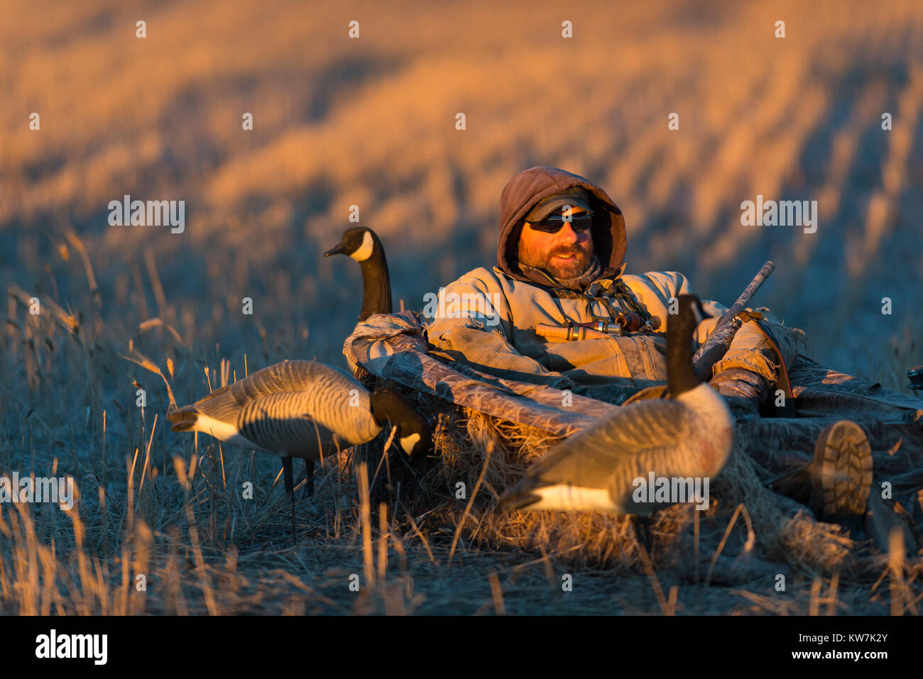 A goose hunter in North Dakota Stock Photo - Alamy