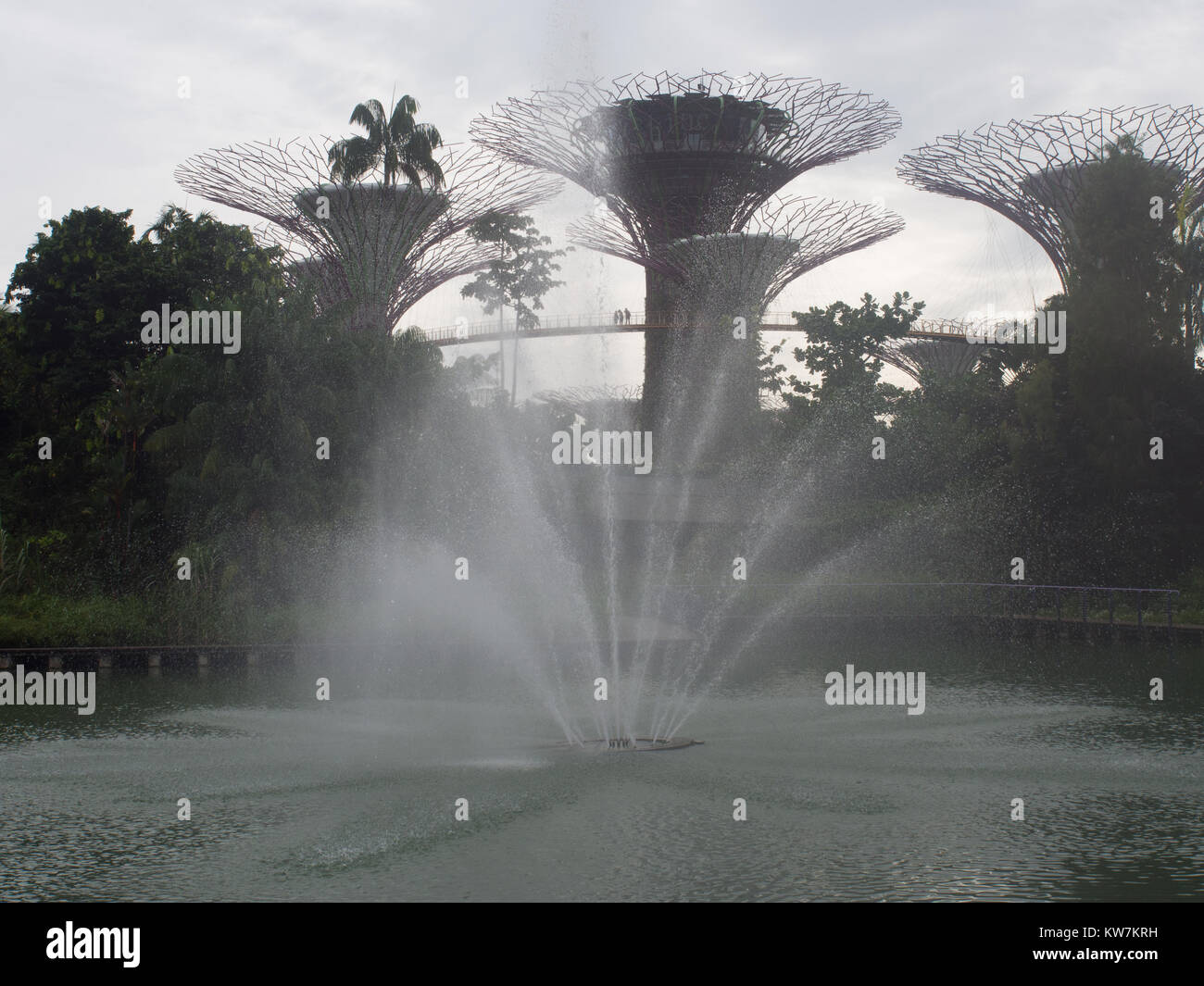 Giant supertree hi-res stock photography and images - Alamy