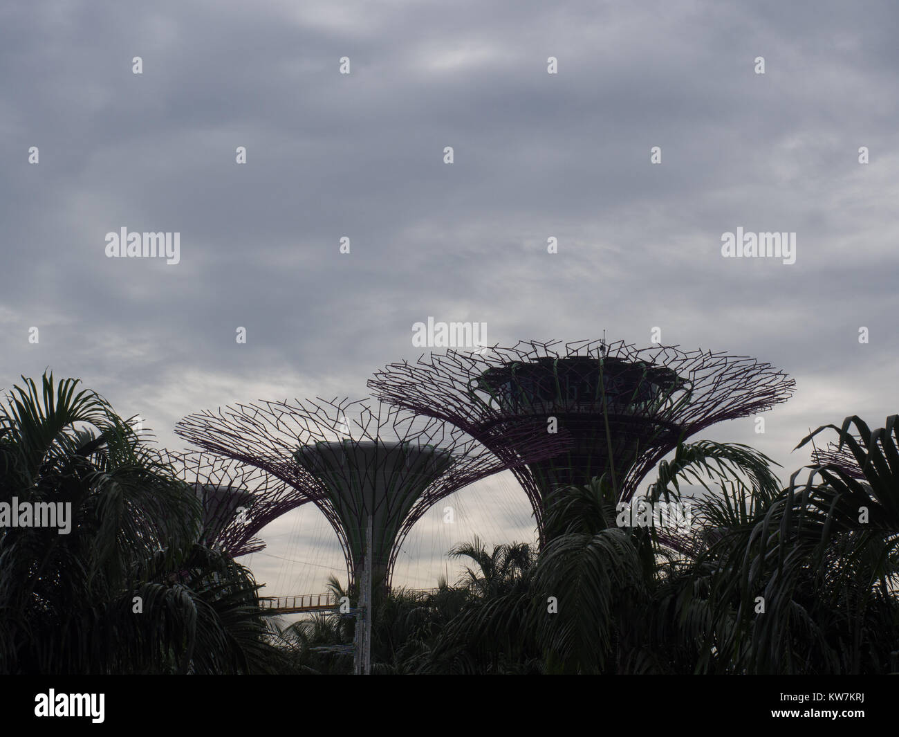 Giant supertree hi-res stock photography and images - Alamy
