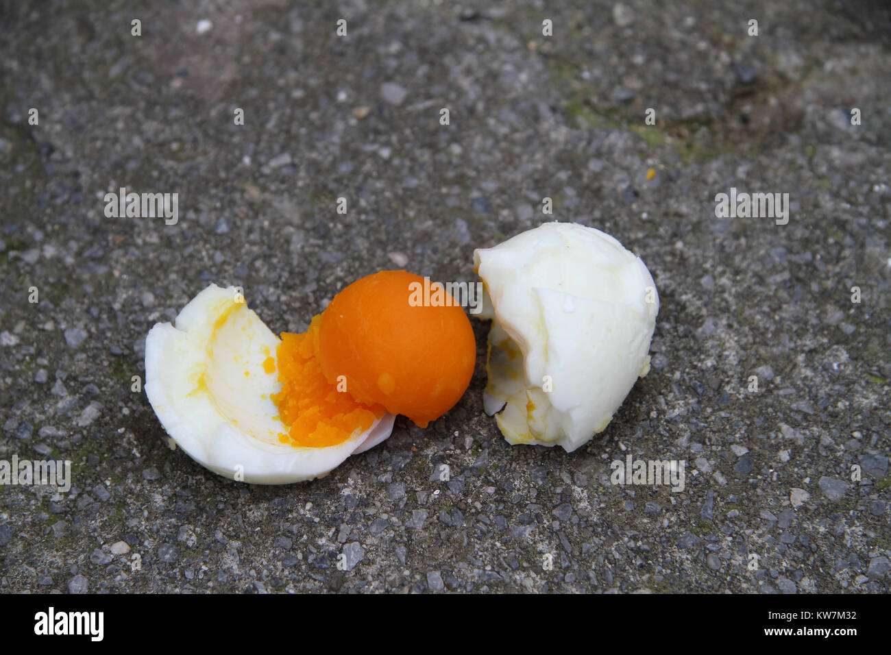 Inedible hard shell hi-res stock photography and images - Alamy