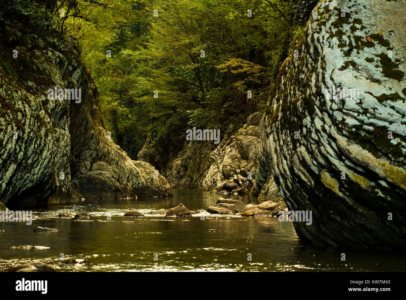 Shady river hi-res stock photography and images - Alamy
