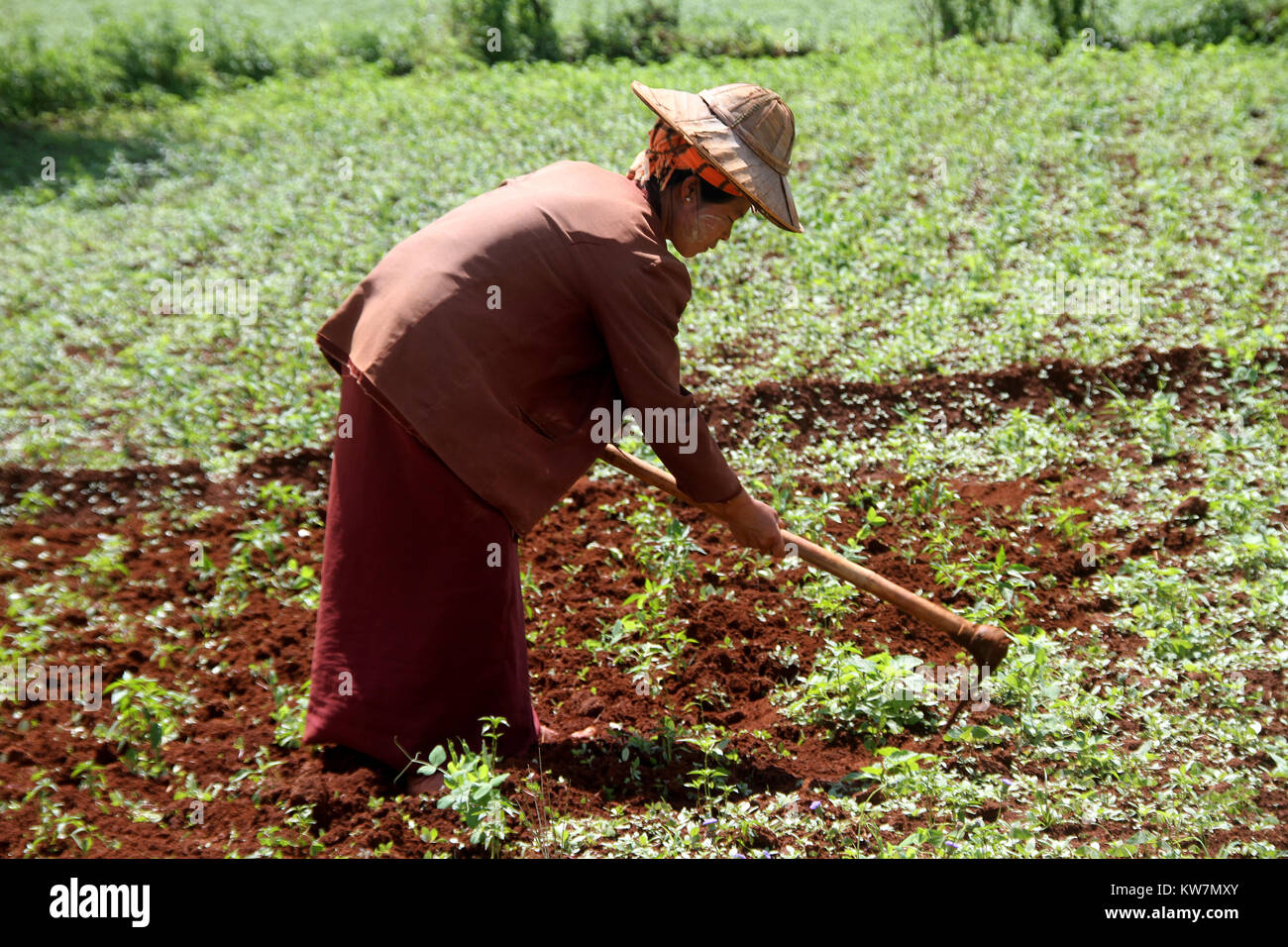 Mattock hi-res stock photography and images - Alamy
